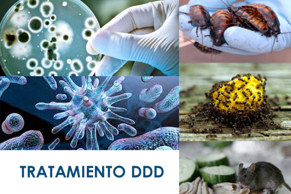 Tratamientos DDD | Desratización, desinsectacón y desinfección